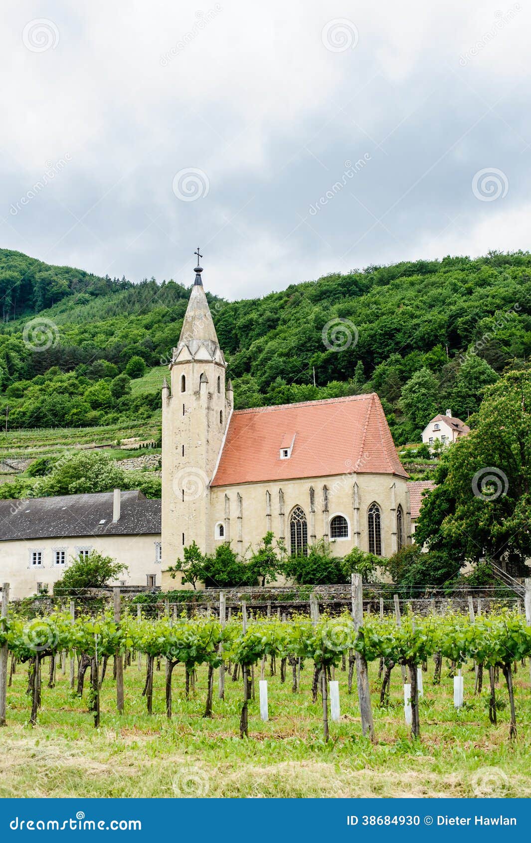 Church in the Vineyard stock photo. Image of vineyard - 38684930