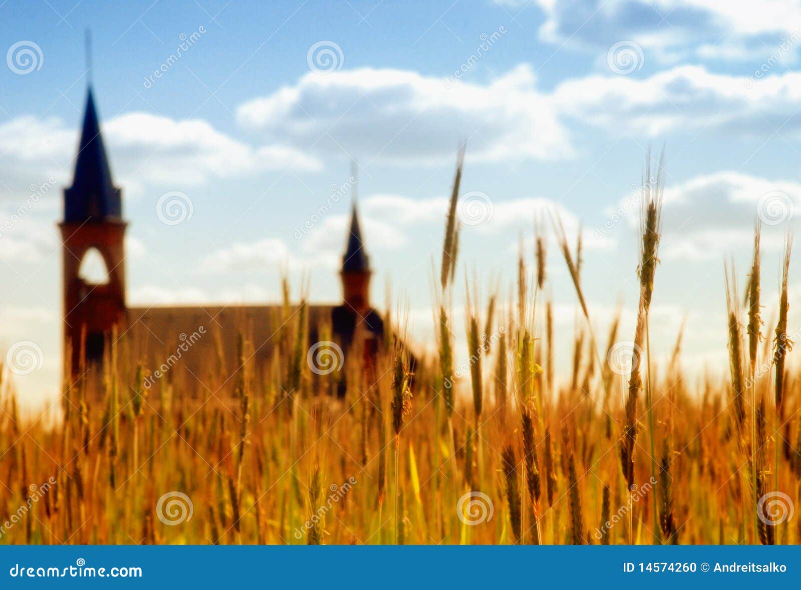 Church in a wheat field. stock photo. Image of cloudy - 14574260