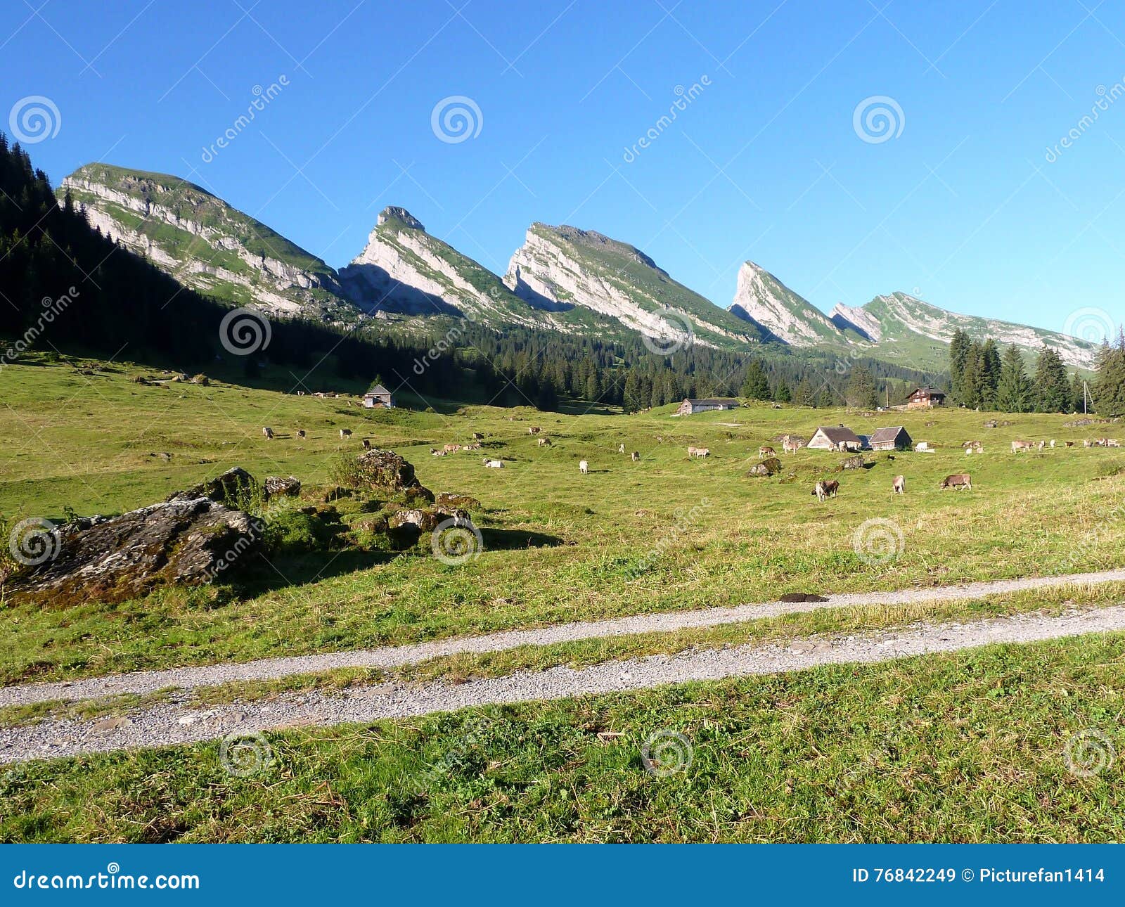 Churfirsten Mountain Range stock image. Image of alps - 76842249