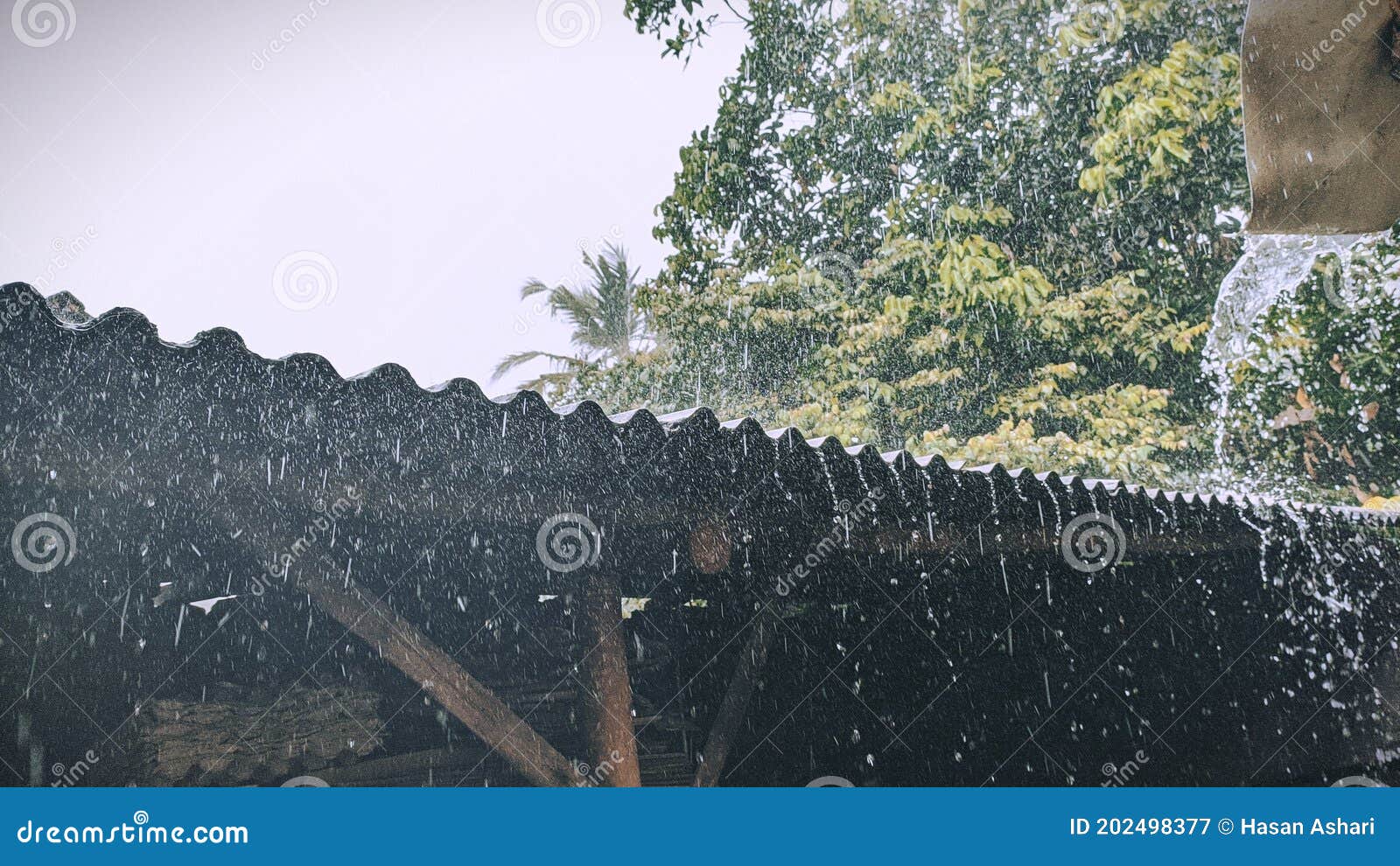 Chutes D'eau De Pluie Sur Le Toit Image stock - Image du saleté, nature ...