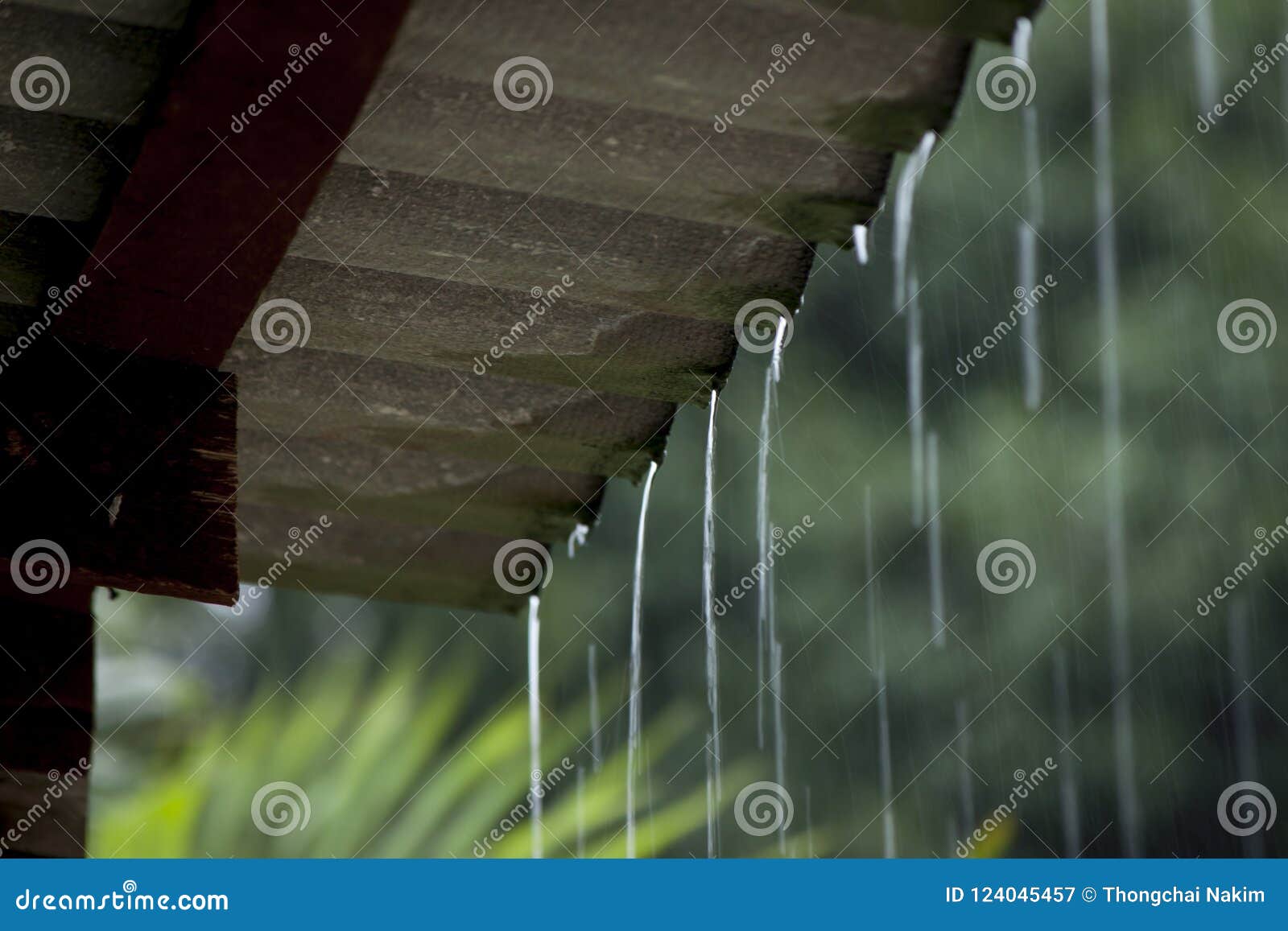Chutes De Pluie Sur Le Toit Image stock - Image du nature, noir: 124045457