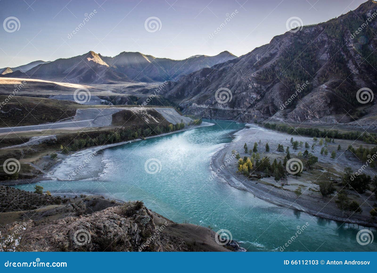 Chuya and Katun rivers stock image. Image of tree, siberia - 66112103