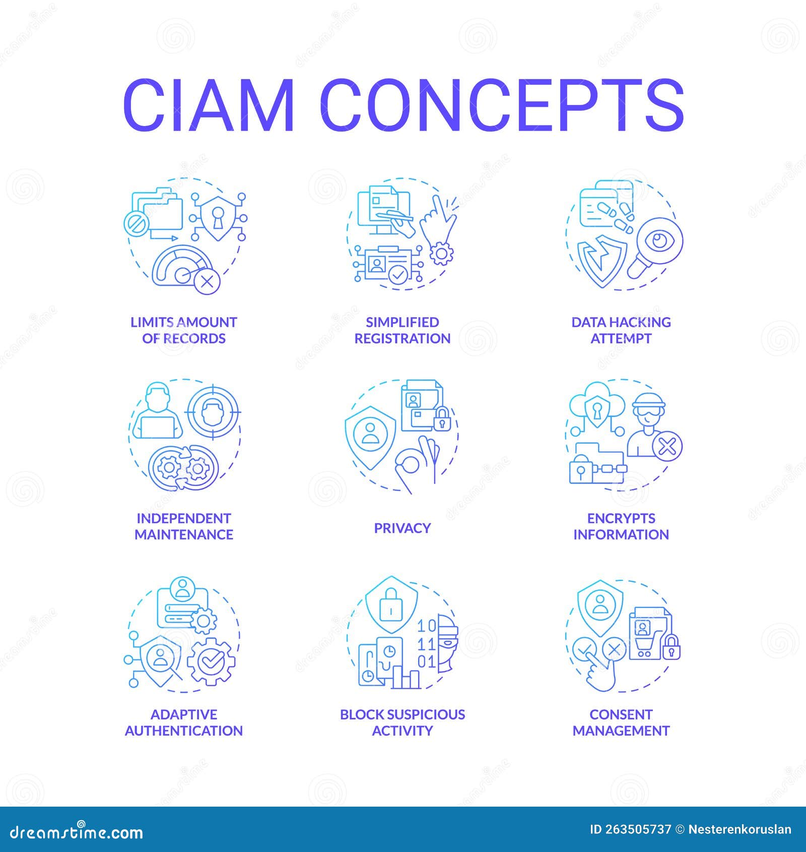 CIAM Blue Gradient Concept Icons Set Stock Vector - Illustration of ...