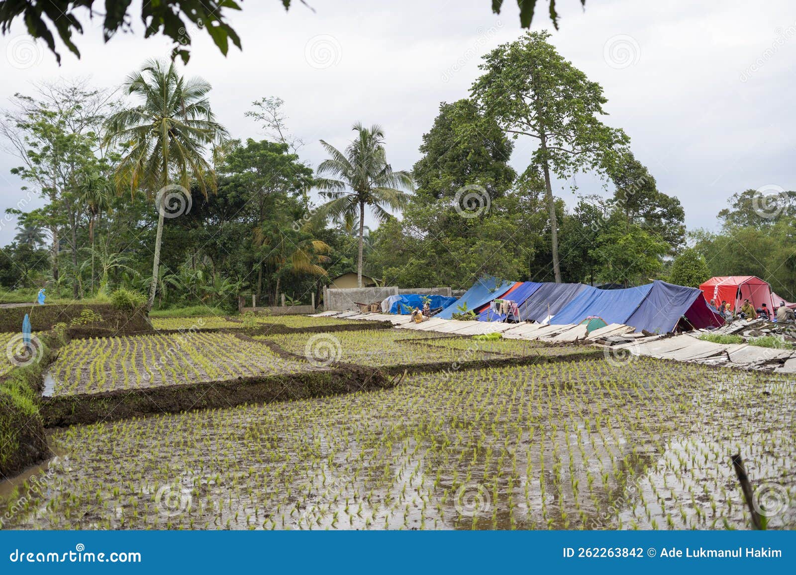 Cianjur, West Java, Indonesia - November 24 2022: the Condition of the ...