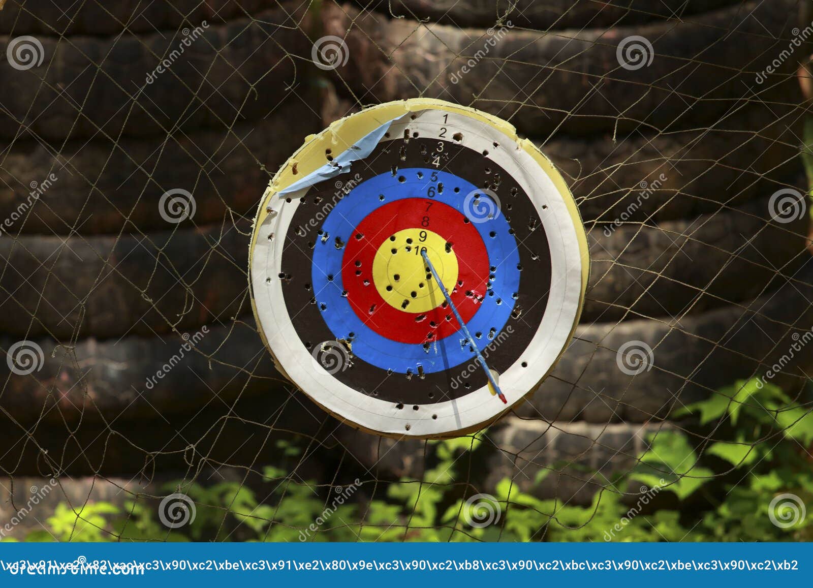 Cible image stock. Image du cible, exactitude, réussite - 36176157