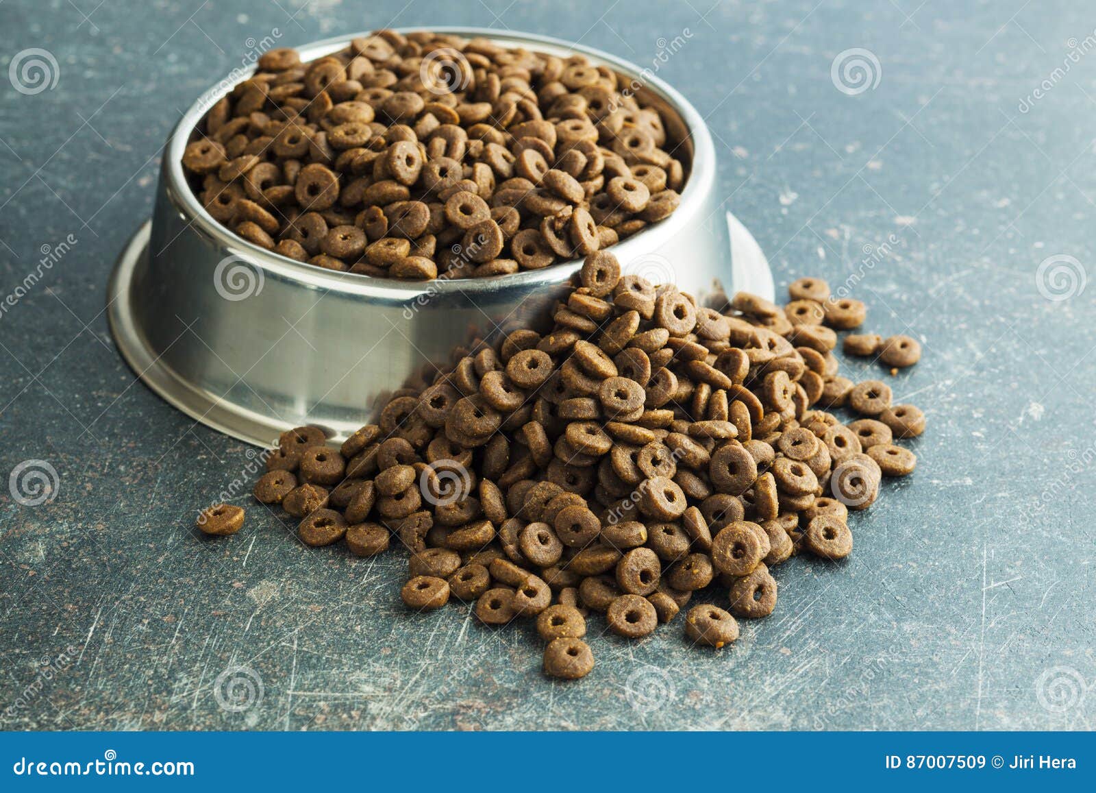 Cibo Per Cani in Ciotola Del Metallo Immagine Stock - Immagine di ...