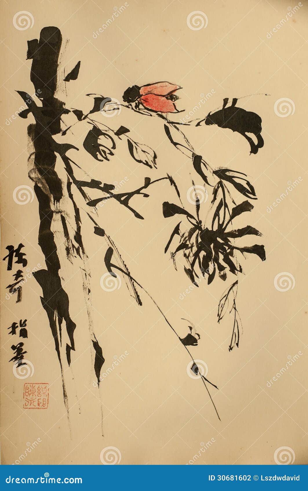 Cicada stock illustration. Illustration of chinese, calligraphy - 30681602