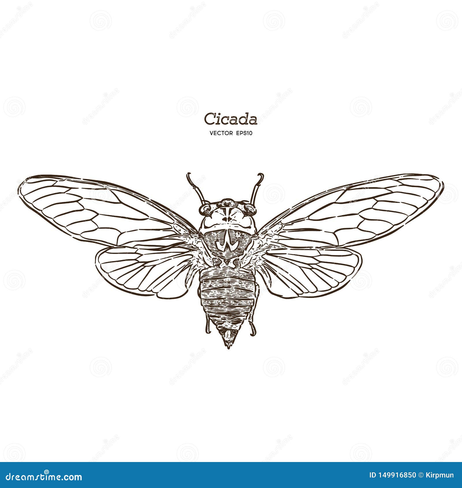Cicada Cartoons, Illustrations & Vector Stock Images - 543 Pictures to ...