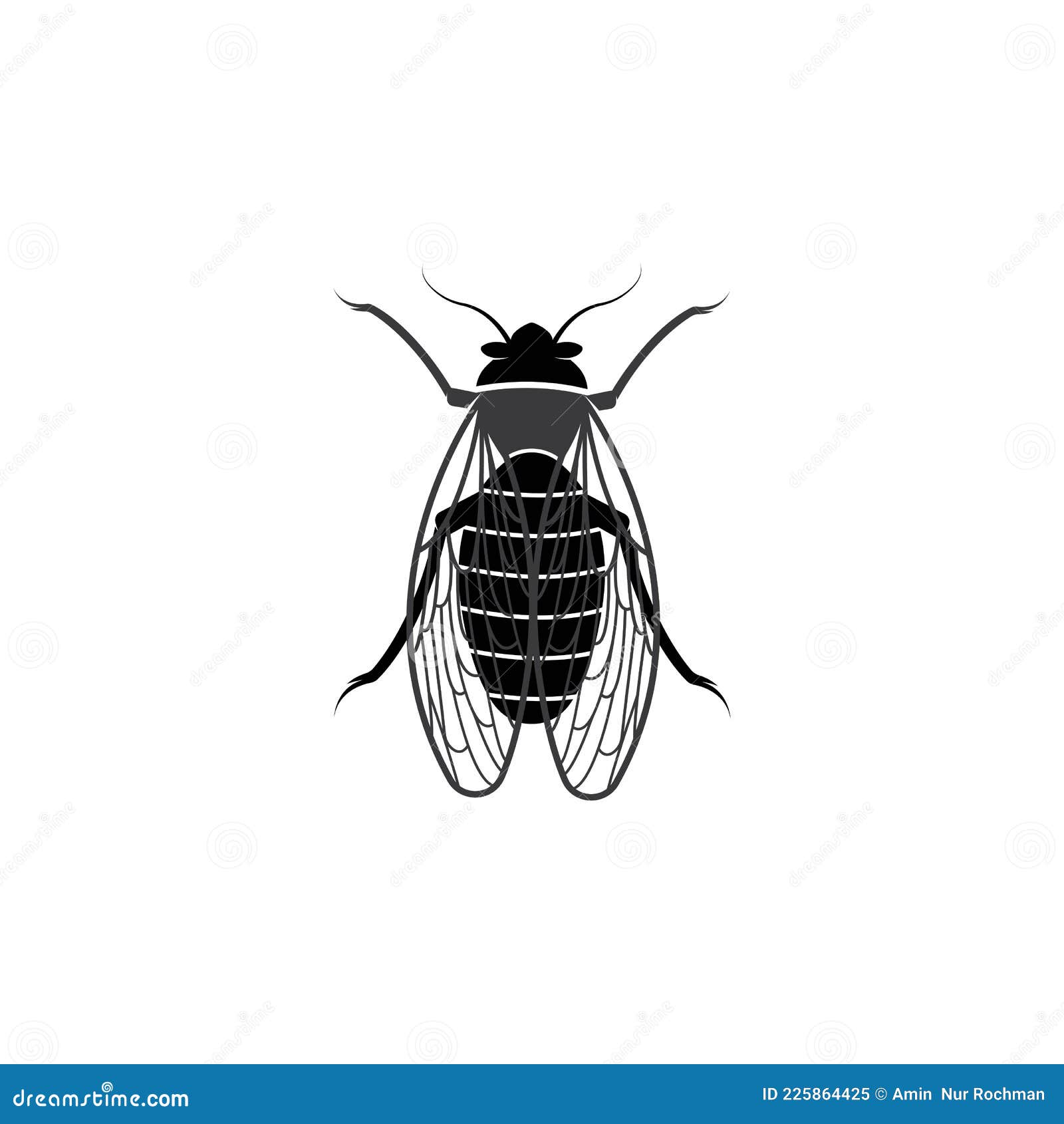 Cicada Logo Vector Icon Template Stock Vector - Illustration of wings ...