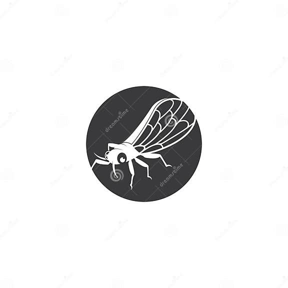 Cicada Logo Vector Icon Template Stock Vector - Illustration of wing ...