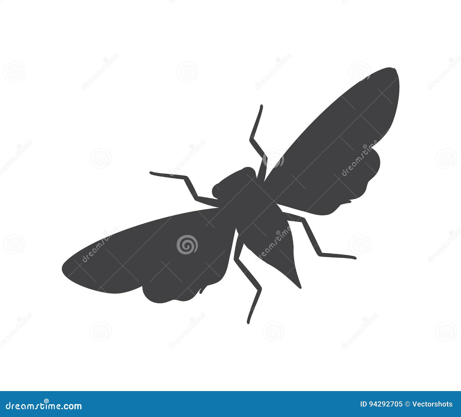 Cicada Moth Insect Silhouette Stock Vector - Illustration of cicada ...