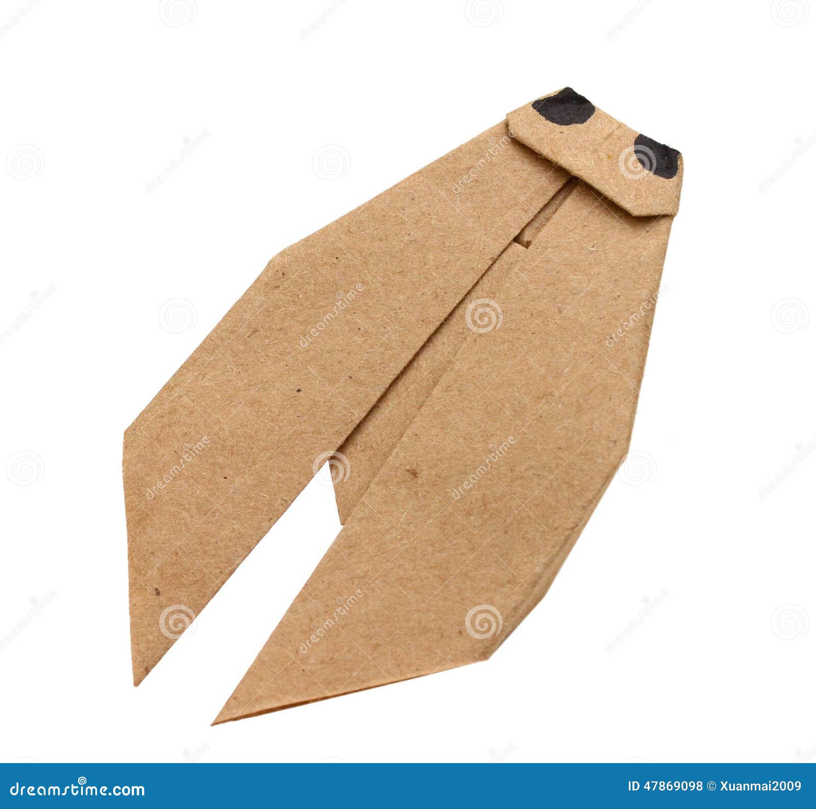 Cicada paper stock photo. Image of white, background - 47869098