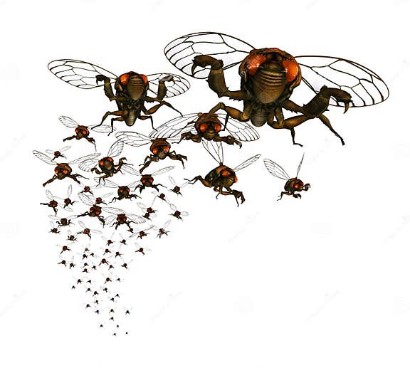Cicada Swarm stock illustration. Illustration of rendering - 64458784