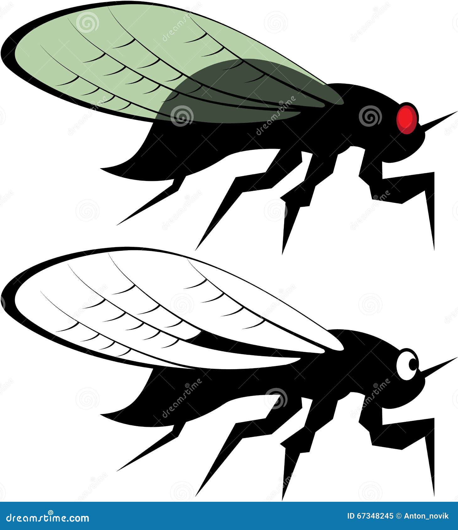 Cicada vector stock vector. Illustration of cricket, environment - 67348245