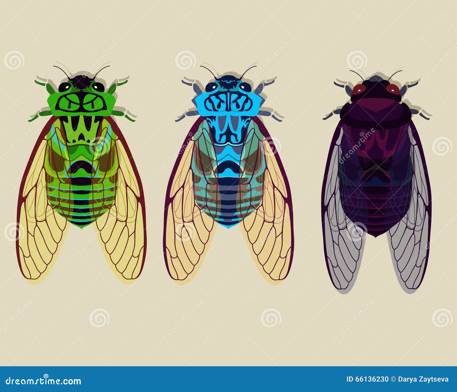 Cicadas collection part 1 stock illustration. Illustration of simple ...