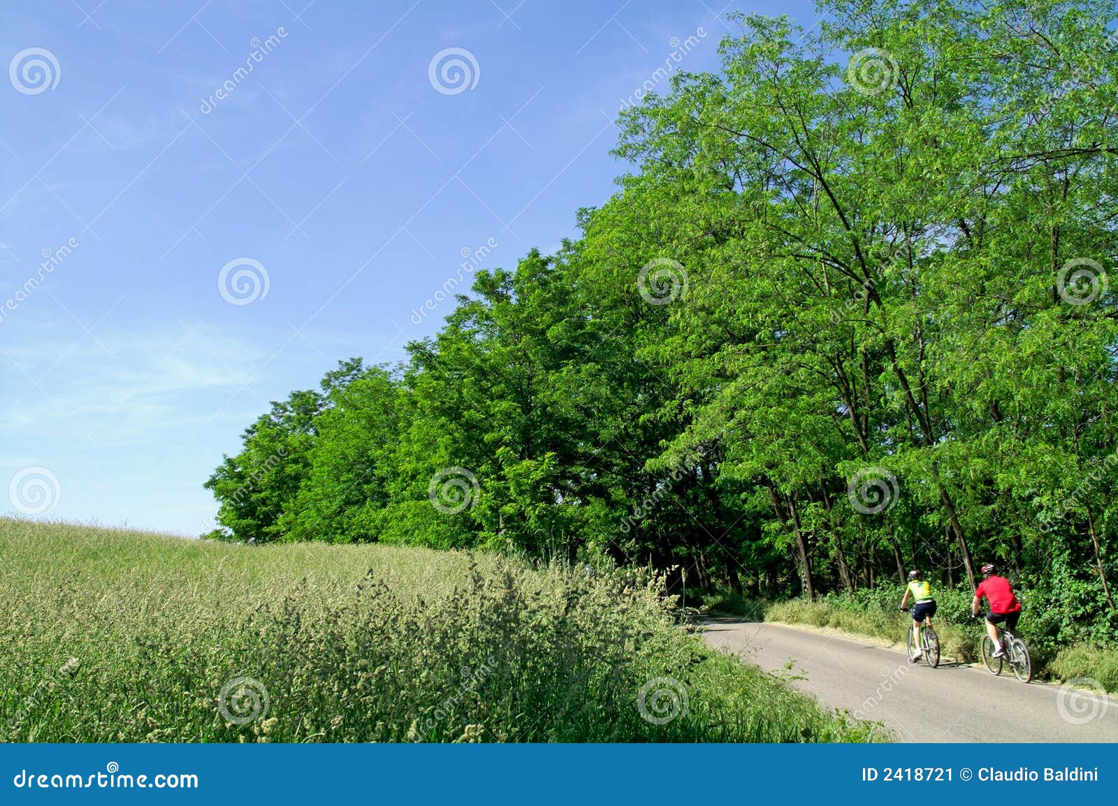 Ciclo imagen de archivo. Imagen de prado, deporte, bicicleta - 2418721