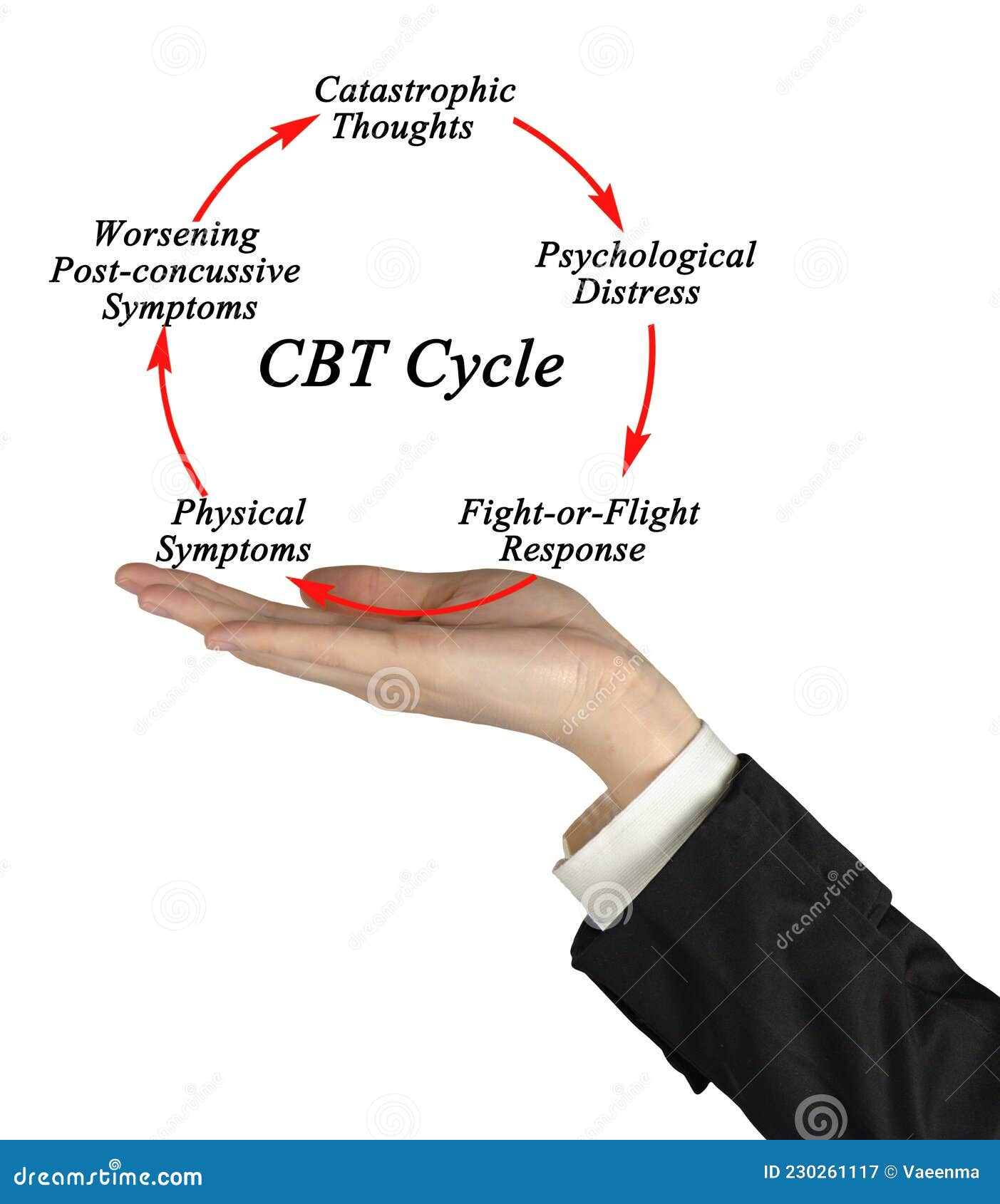 Ciclo cbt imagem de stock. Imagem de virtual, processo - 230261117