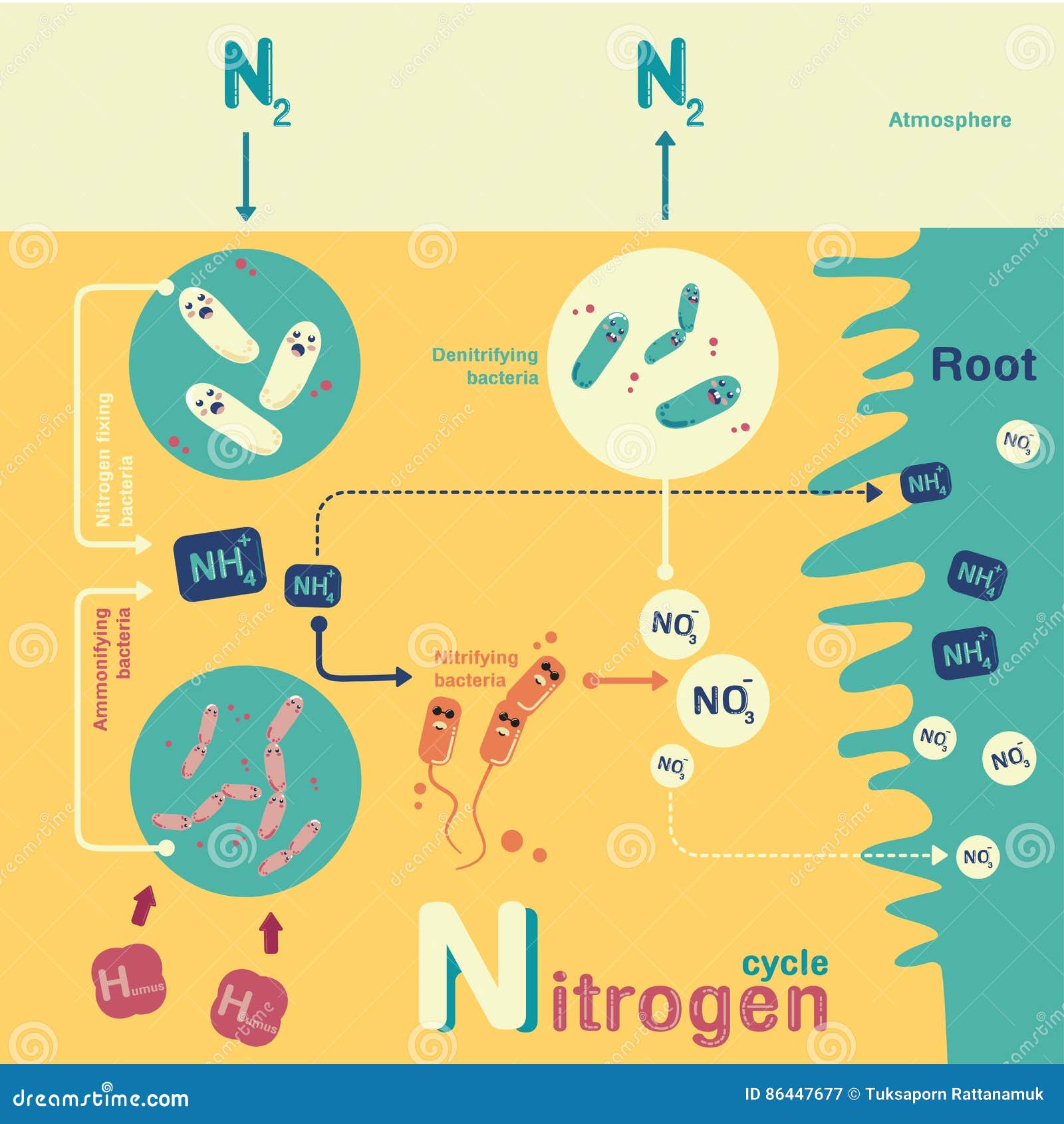 Ciclo de nitrogênio ilustração do vetor. Ilustração de ecossistemas ...