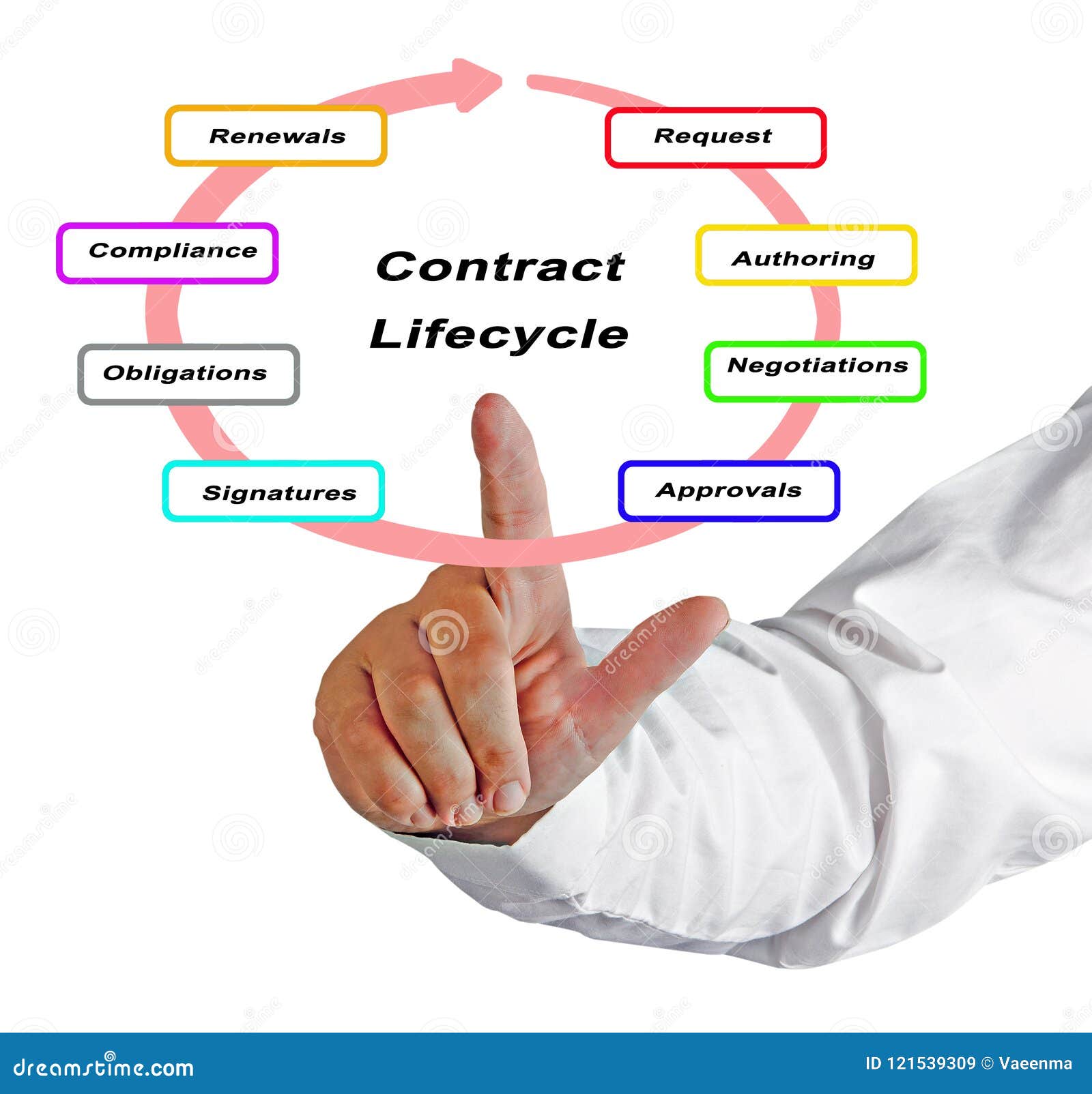 Ciclo de vida do contrato imagem de stock. Imagem de virtual - 121539309