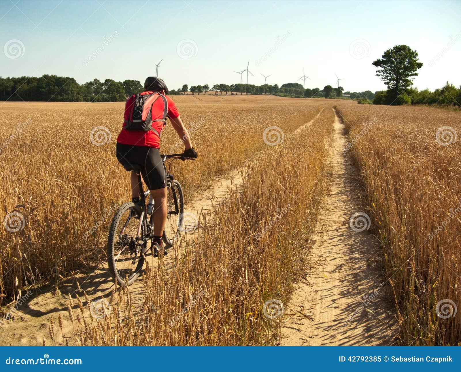 Ciclo del verano imagen de archivo. Imagen de bici, jinete - 42792385