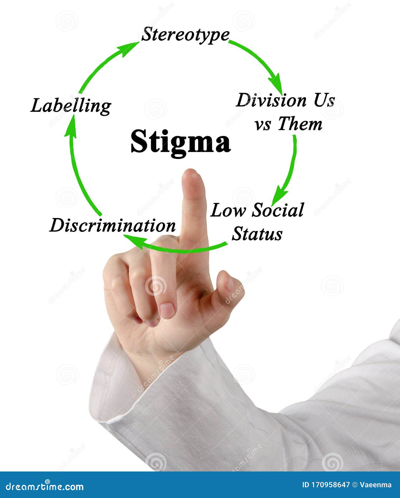 Ciclo do estigma imagem de stock. Imagem de componentes - 170958647