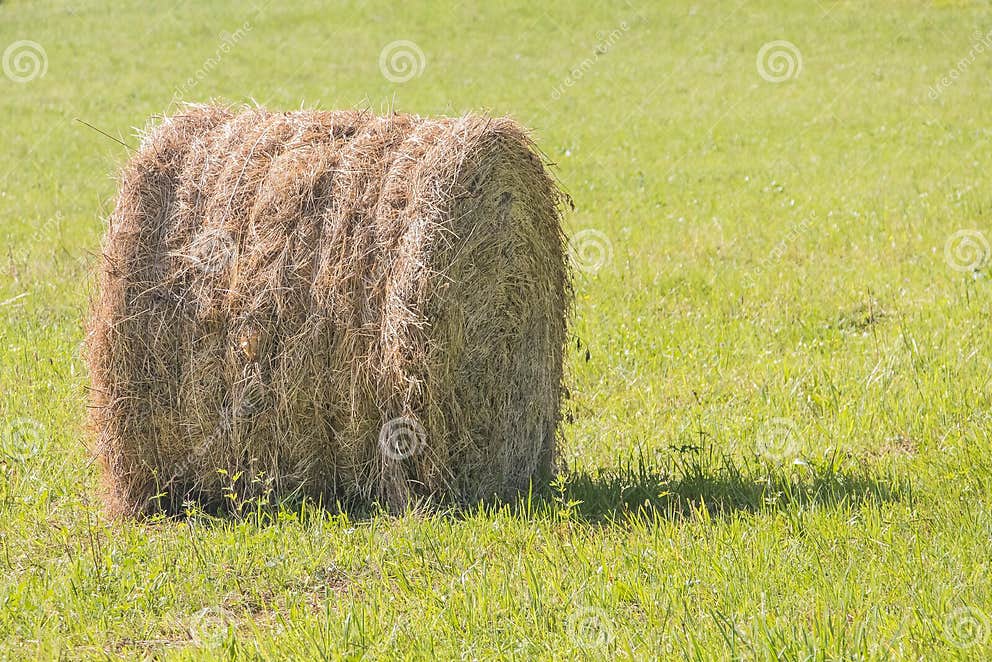 Cicular haystack stock photo. Image of yellow, season - 74910318