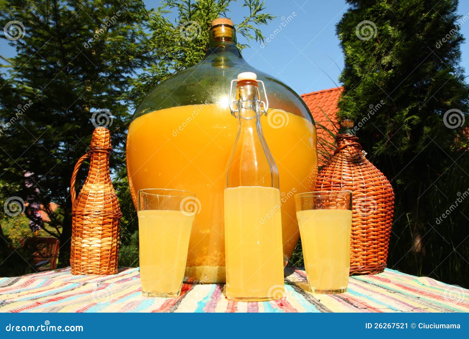 Cider - in the garden stock image. Image of glass, homemade - 26267521