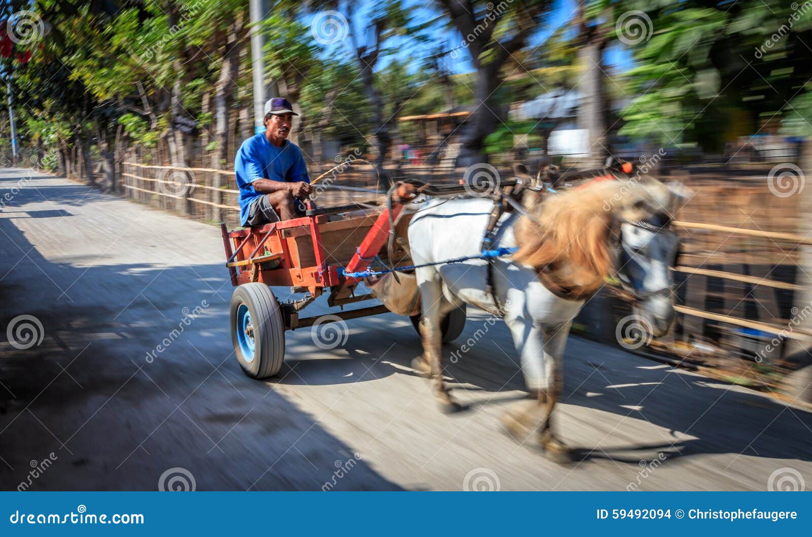 Cidomo En Las Islas De Gili Imagen de archivo editorial - Imagen de ...