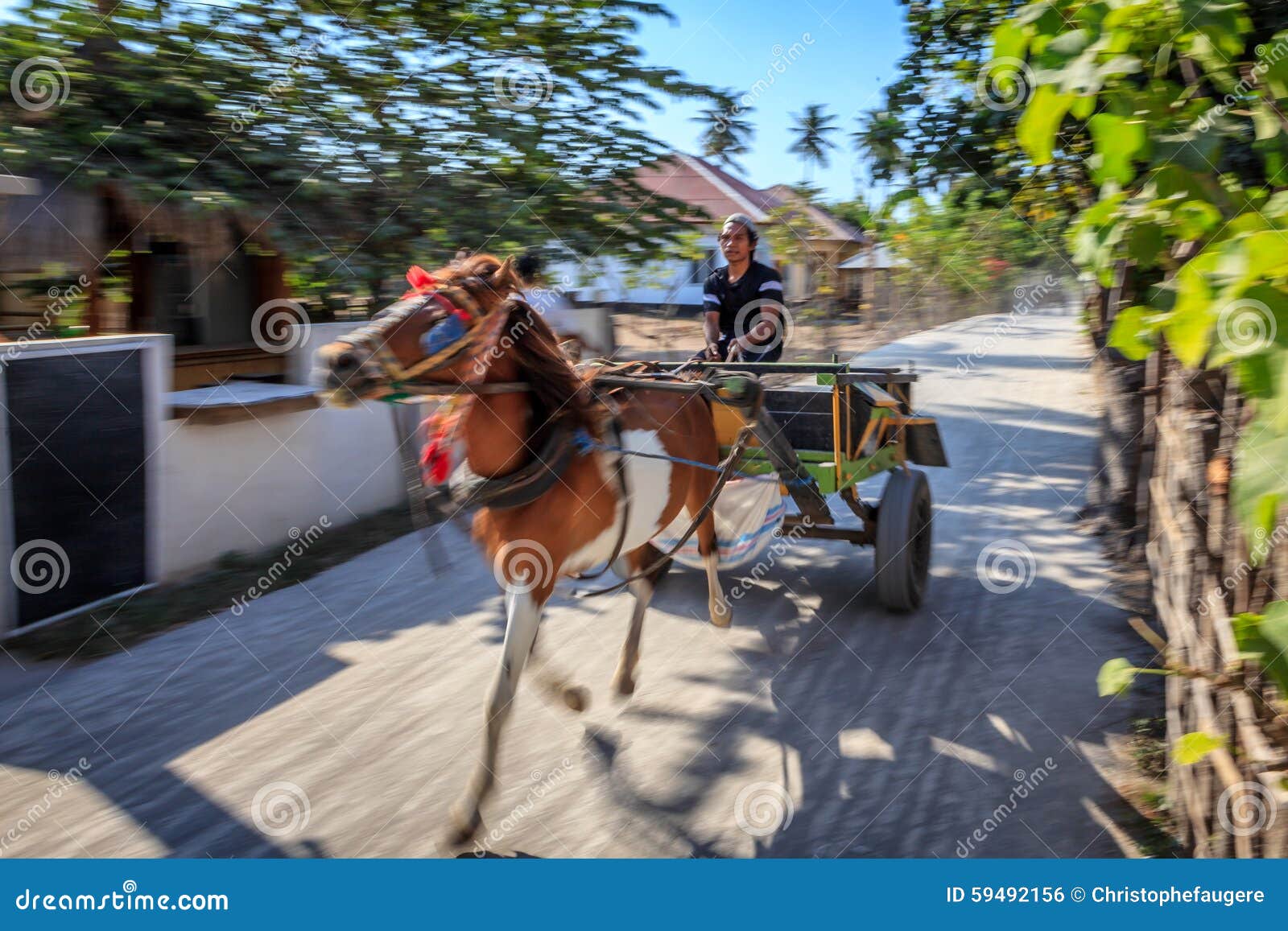 Cidomo in Gili-eilanden redactionele foto. Image of indonesië - 59492156