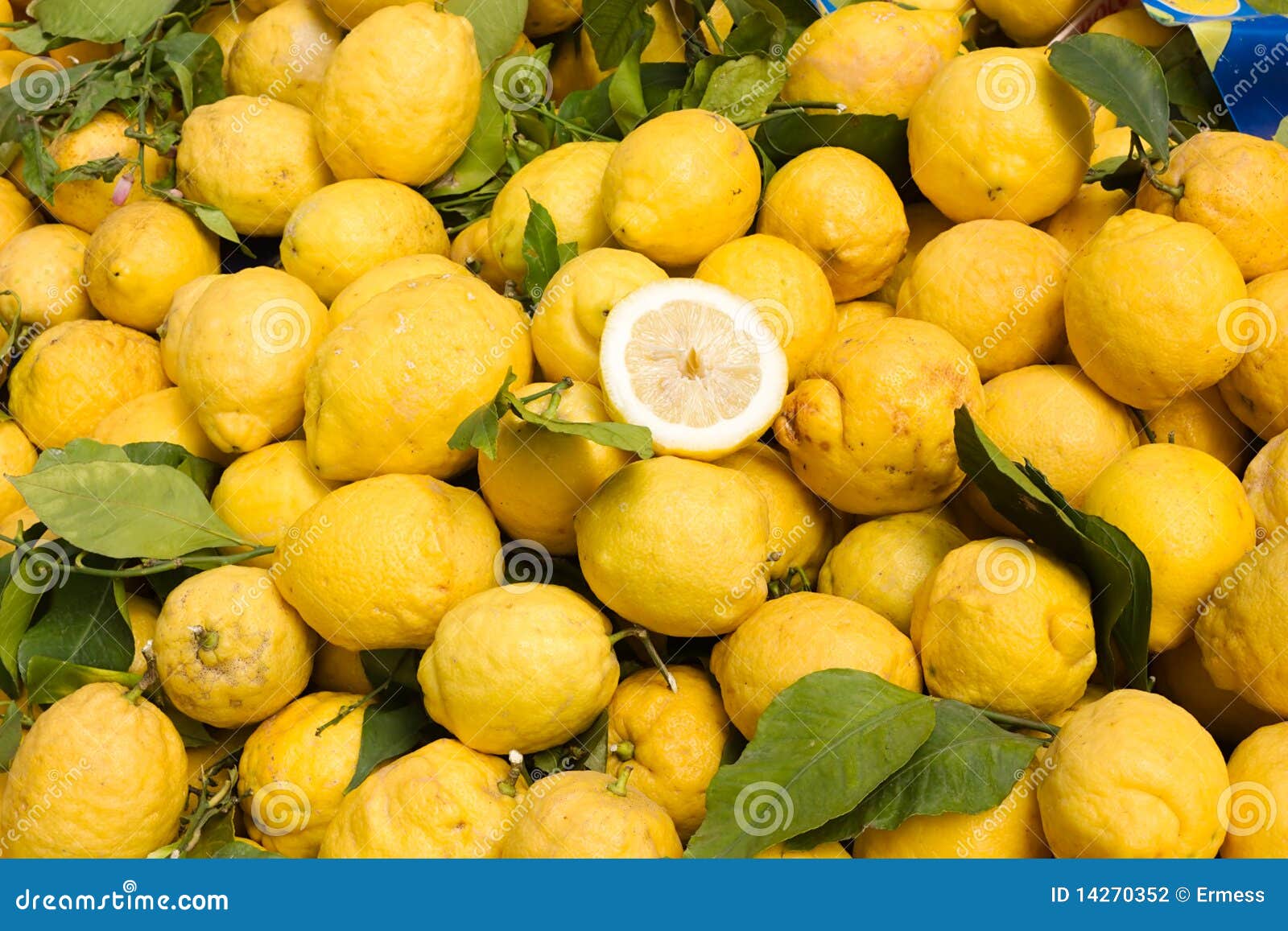 Cidra siciliano foto de stock. Imagem de nutritivo, frescor - 14270352