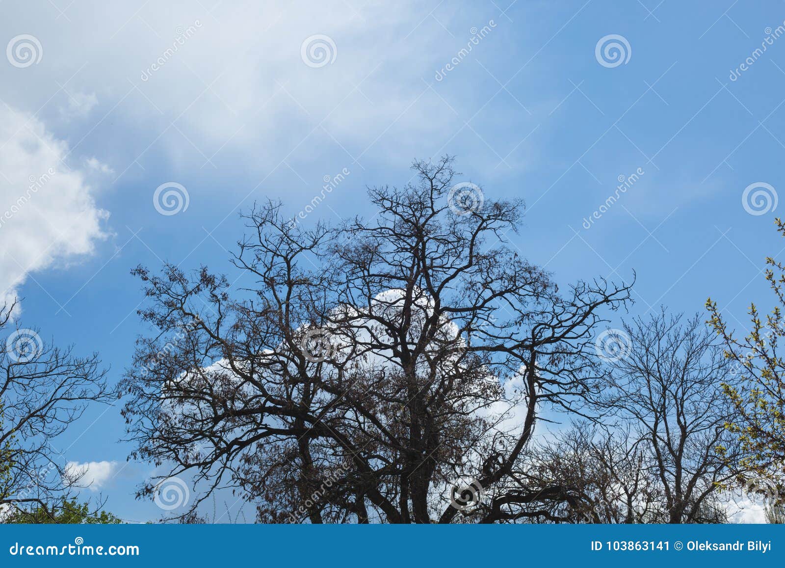 Cielo Azul Claro, Cielo Realista Con Las Nubes Imagen de archivo ...