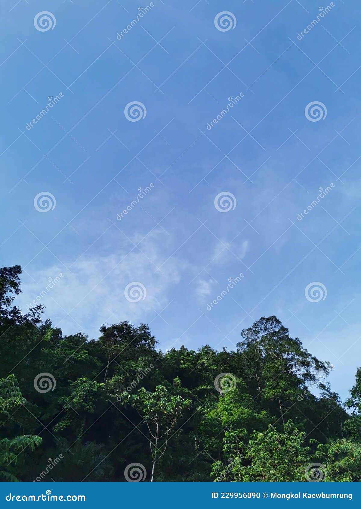 Cielo Azul Con Nubes De Selva Tropical Foto de archivo - Imagen de ...