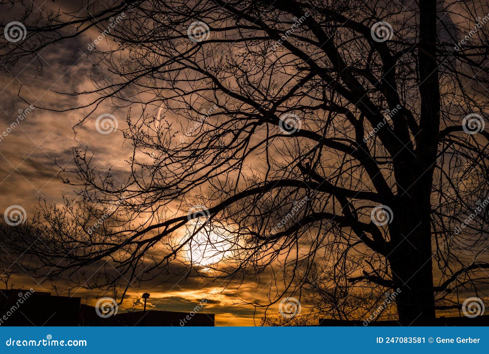 Cielo Oscuro De Sol Brillante Imagen de archivo - Imagen de blanco ...