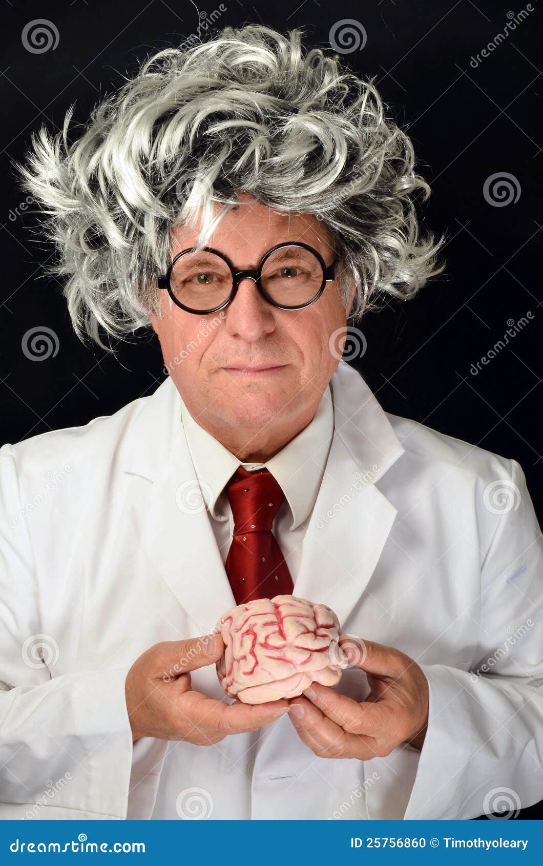 Científico loco foto de archivo. Imagen de cerebro, laboratorio - 25756860