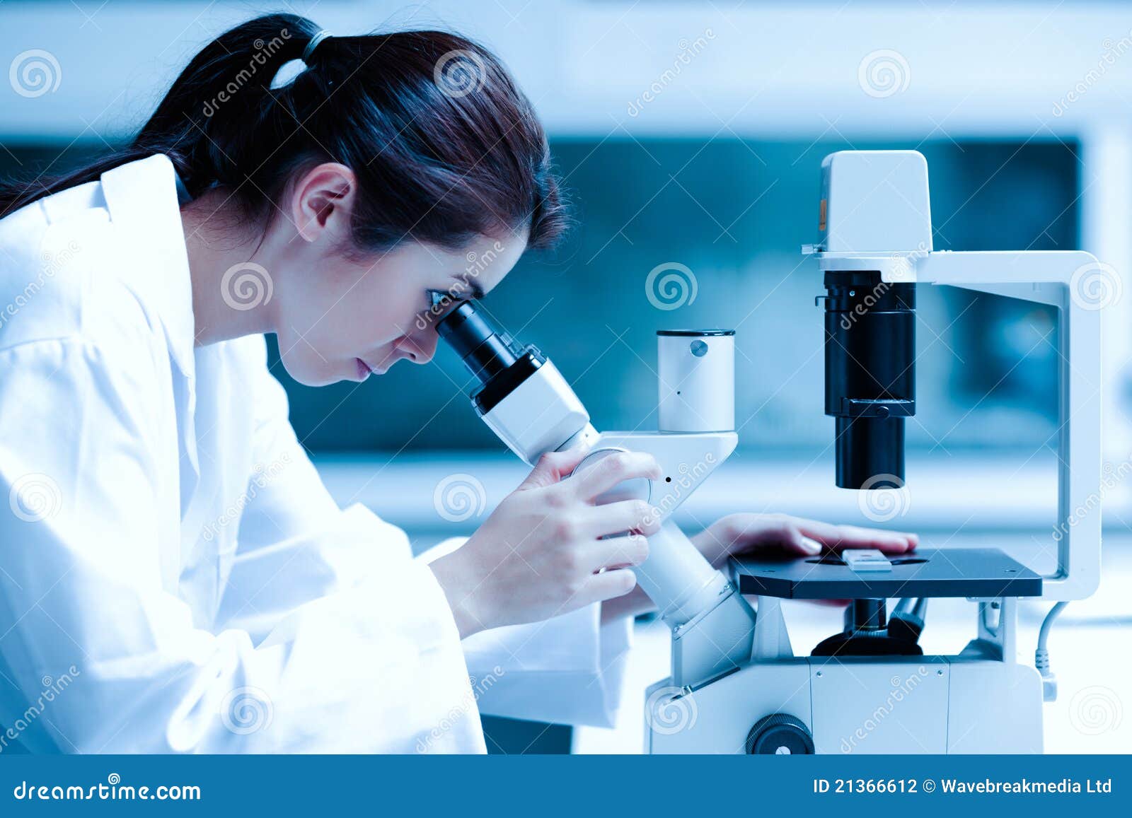 Científico Que Usa Un Microscopio Foto de archivo - Imagen de persona ...