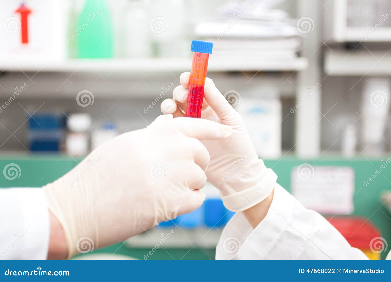 Cientistas No Trabalho Em Um Laboratório Foto de Stock - Imagem de ... Cientistas No Trabalho Em Um Laboratório Foto de Stock - Imagem de ...