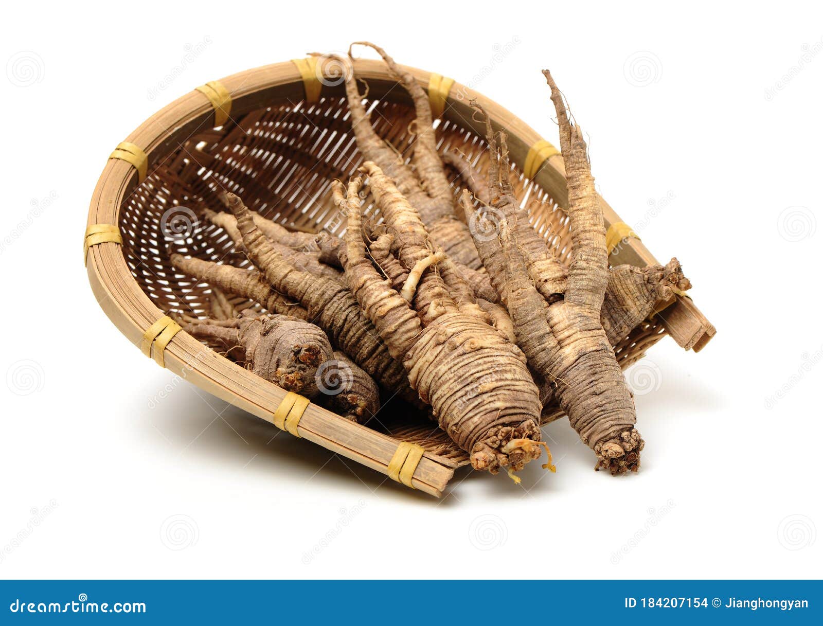 Cierre De Adenophora Stricta Root Campanuloideae Adenophora Foto de ...