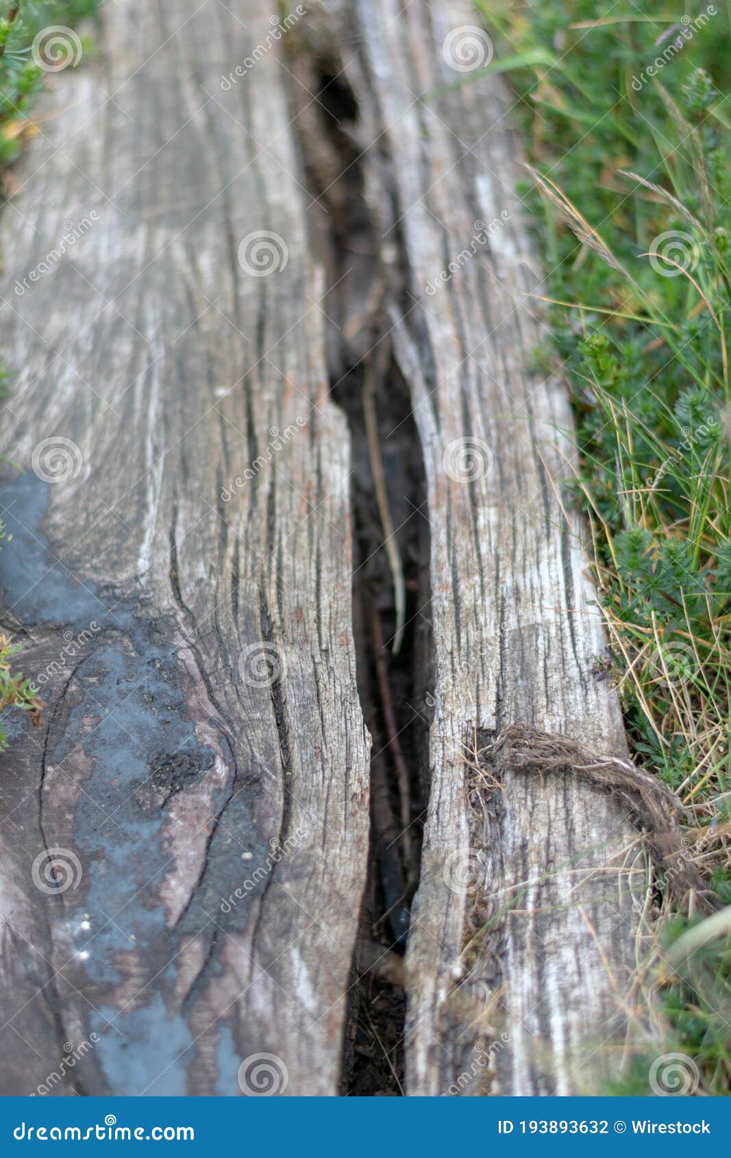 Cierre Vertical De Un Trozo De Madera Rota En El Suelo Foto de archivo ...