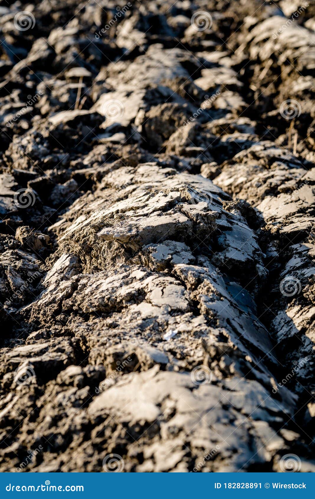 Cierre Vertical De Una Tierra Cultivada De Labranza Imagen de archivo ...