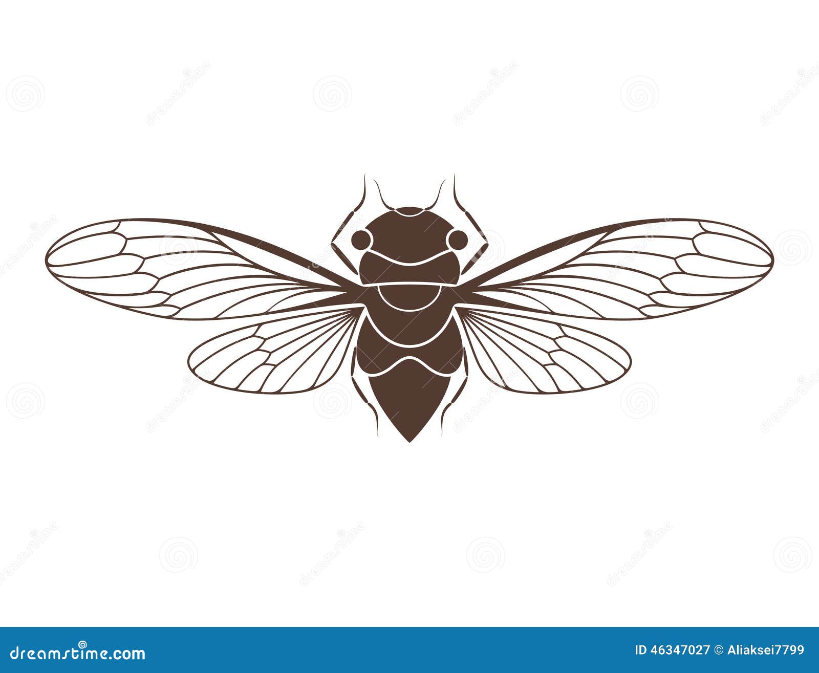 Cigale illustration de vecteur. Illustration du signe - 46347027