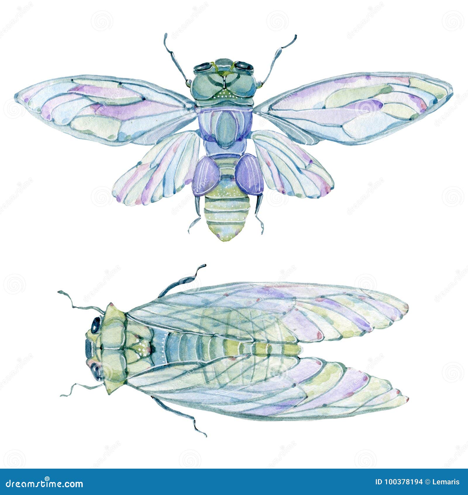 Cigale Stock Illustrations, Vecteurs, & Clipart – (688 Stock Illustrations)