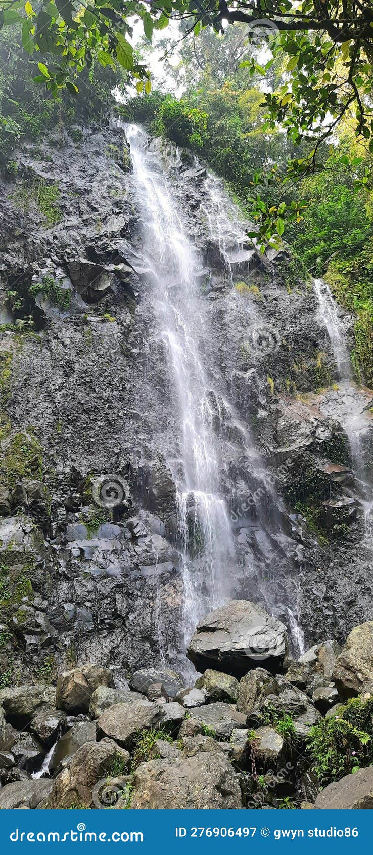 Cigamea Waterfall in West Java Stock Image - Image of cigamea, forest ...