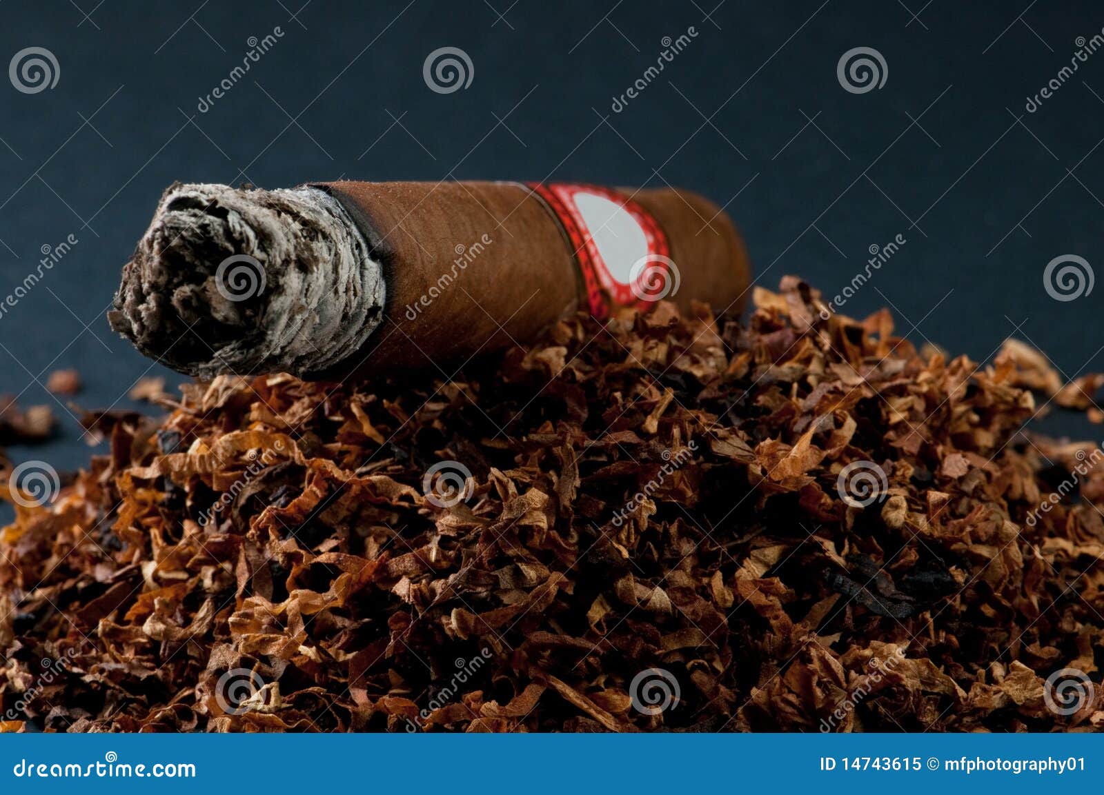 Cigar stock image. Image of humidor, cuba, addiction - 14743615