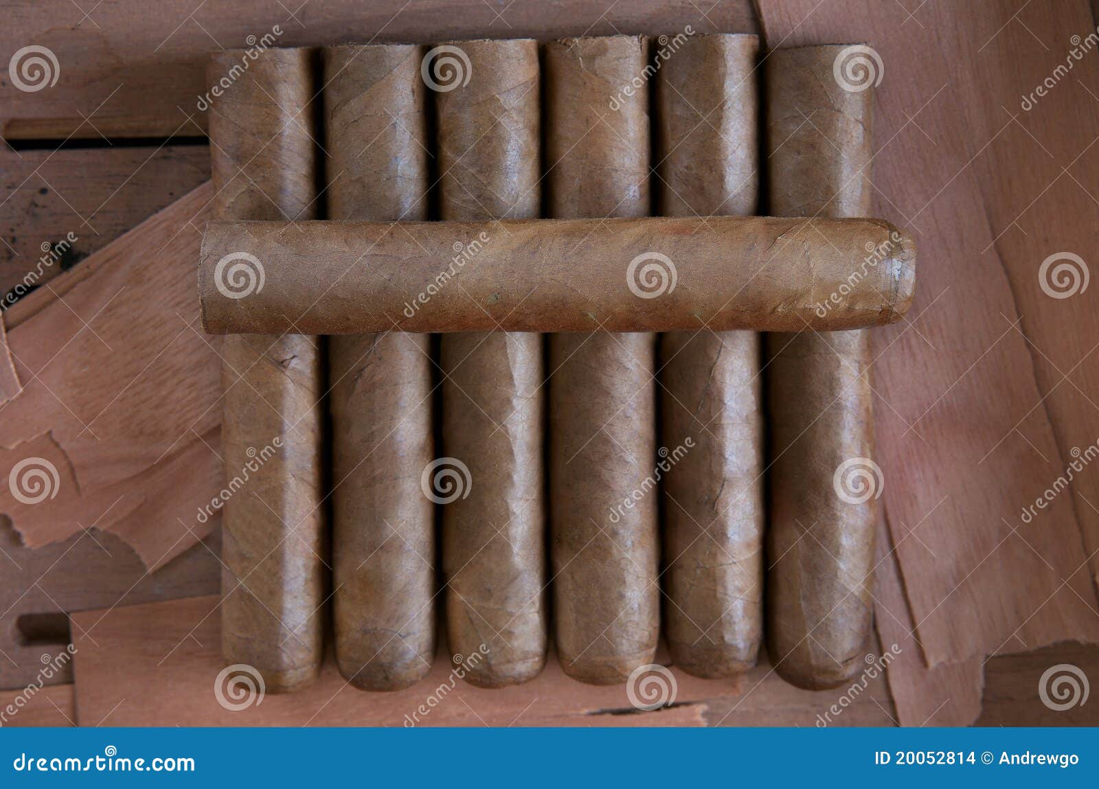 Cigar stock photo. Image of smoking, luxury, habit, lifestyles - 20052814