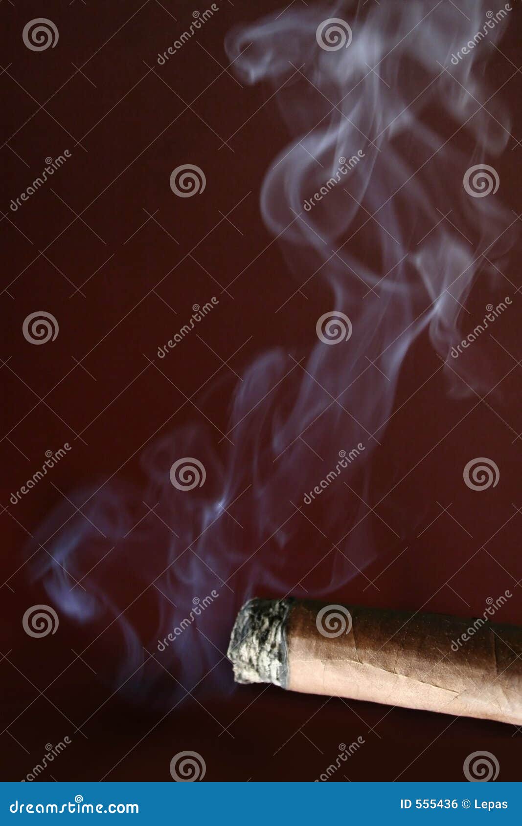 Cigar stock photo. Image of still, cigar, macro, nicotine - 555436