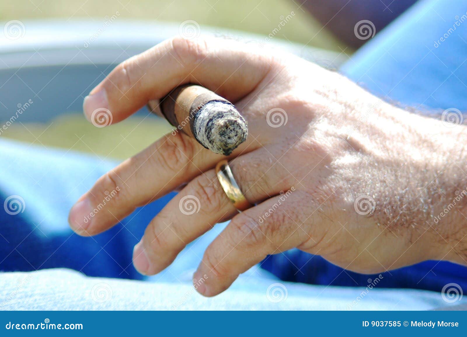 Cigar stock image. Image of outdoors, ring, ashes, nails - 9037585