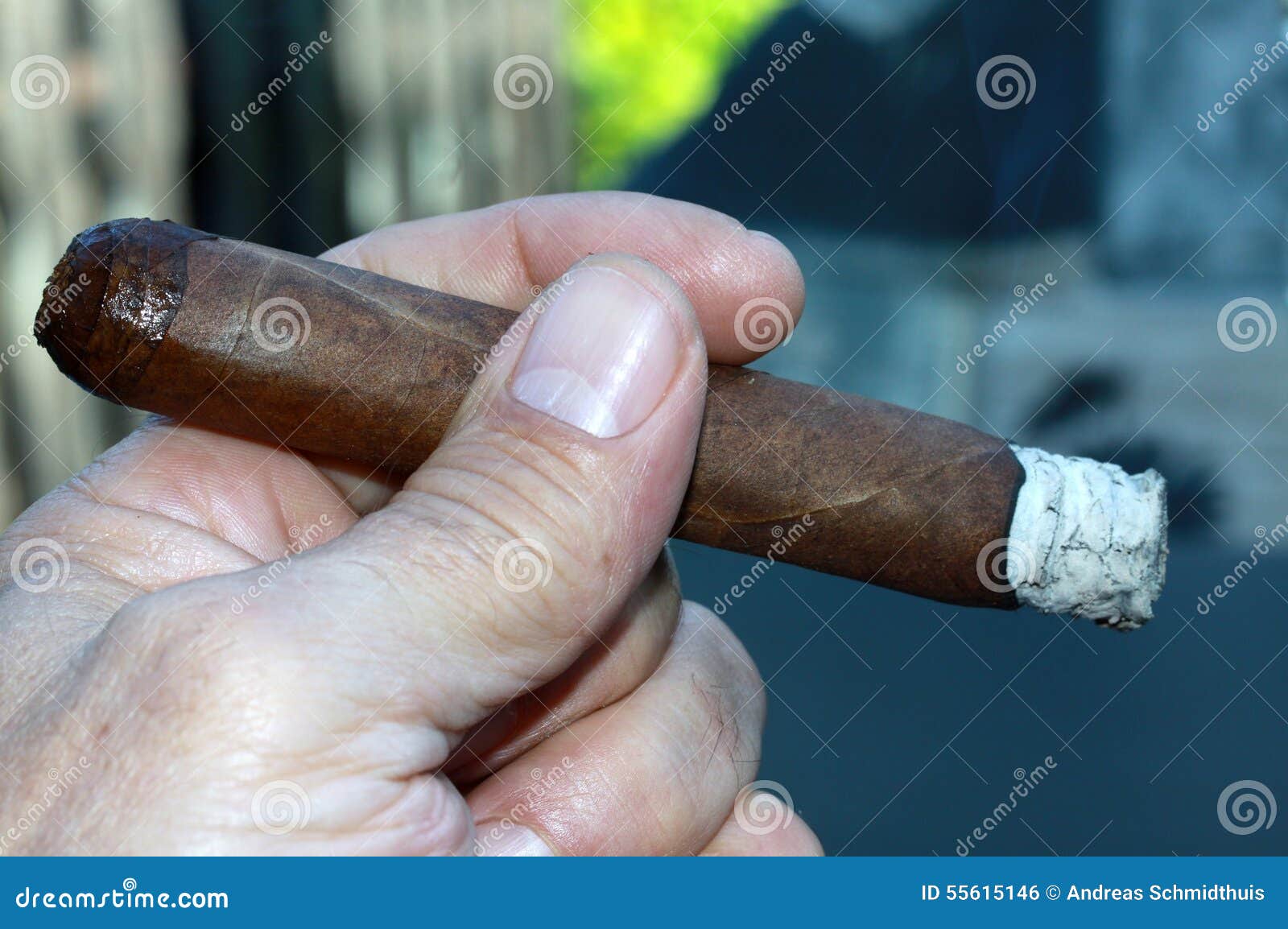 Cigar stock photo. Image of hand, closeup, finger, smoking - 55615146