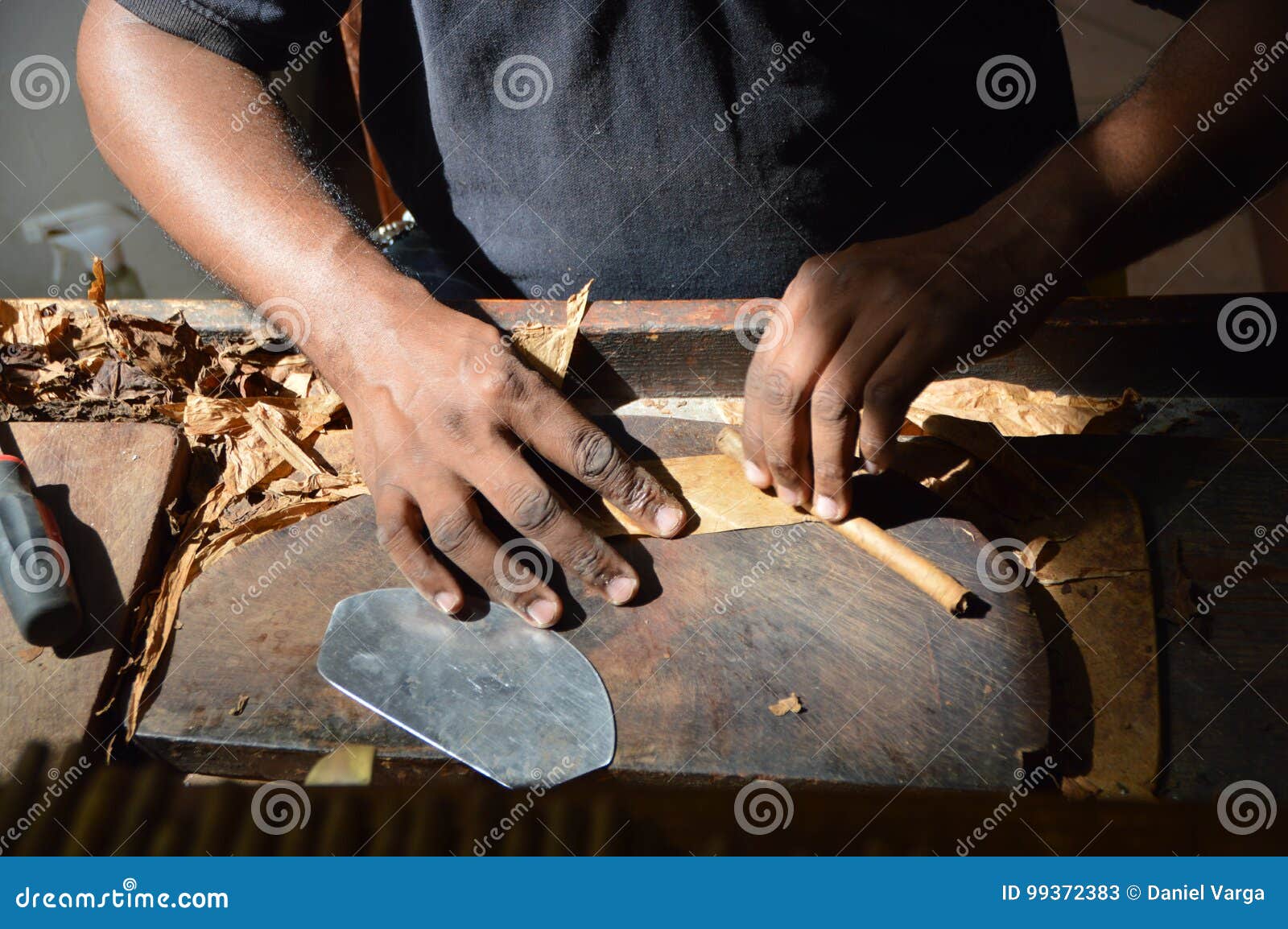 Cigar Factory Worker stock image. Image of hand, manufacture - 99372383