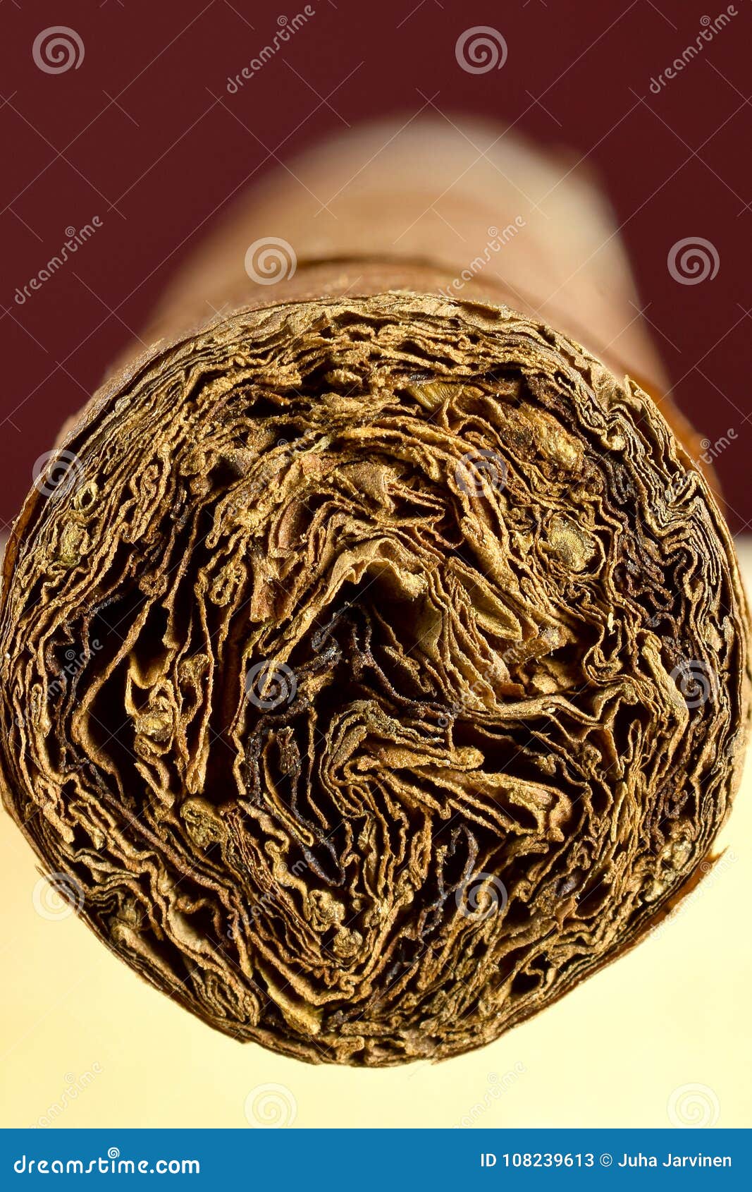 Cigar front view close up stock image. Image of cigar - 108239613