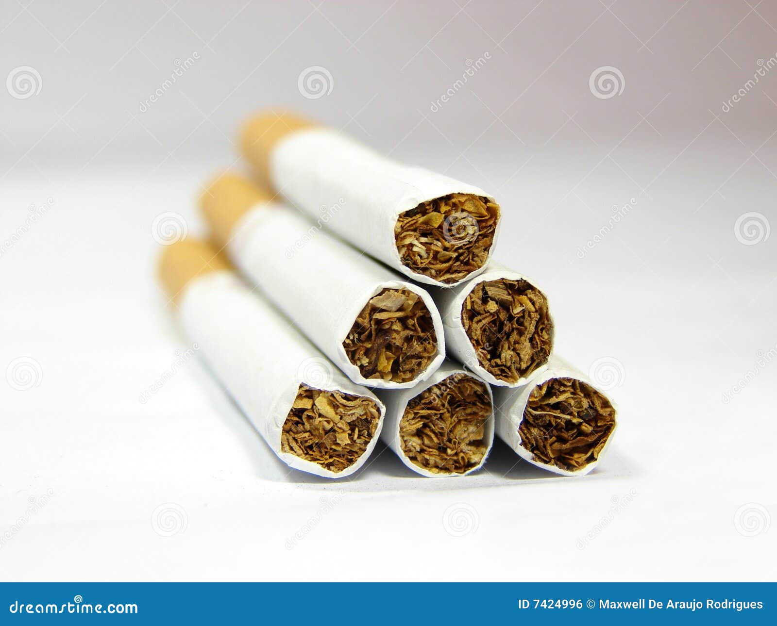 Cigar gun stock photo. Image of cigars, shot, canon, nicotine - 7424996